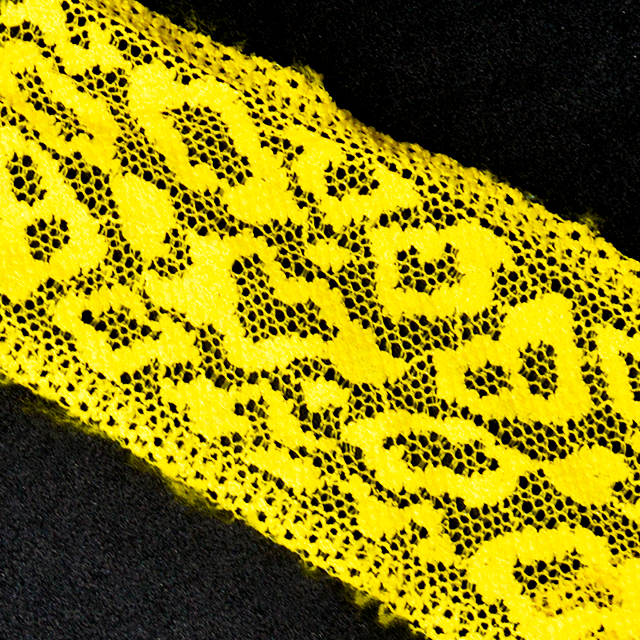 Encaje Elástico #305 – Iwey Textil